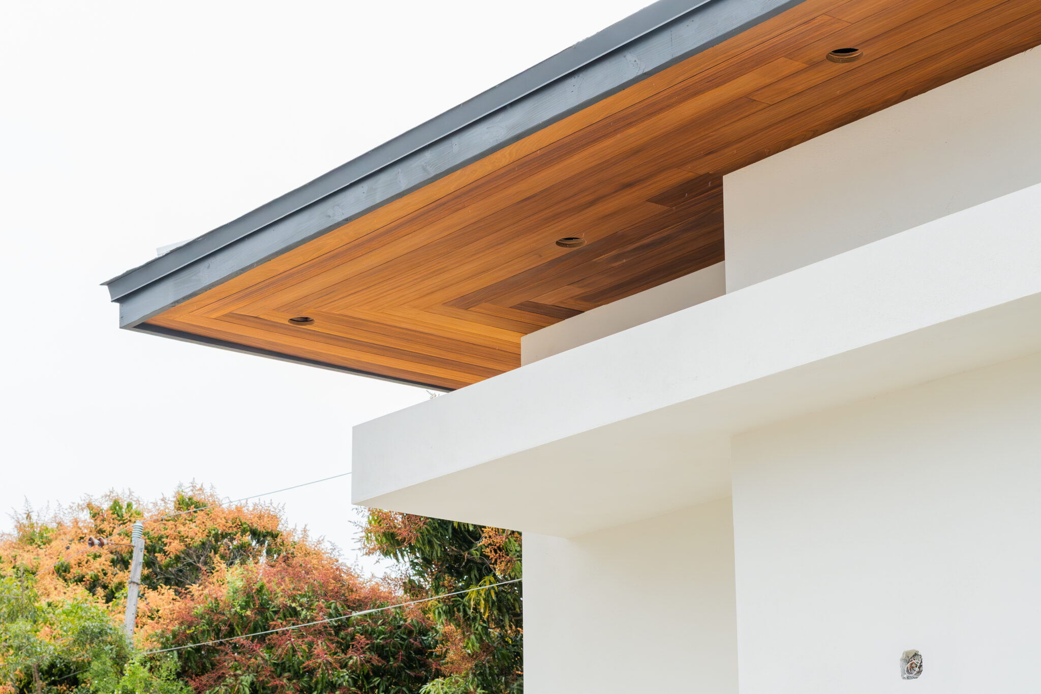 5 Great Brazilian Hardwood Species For Ceiling Design